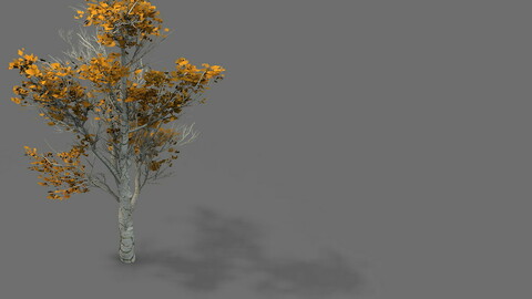 ArtStation - Game Model - Desert - Trees 03 | Game Assets