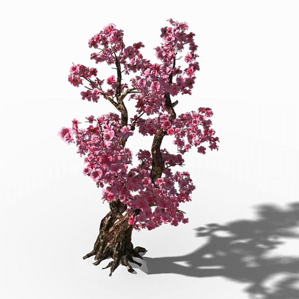 ArtStation - Taihu Lake coast - peach trees | Game Assets