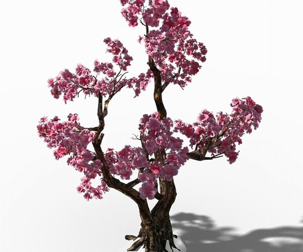 ArtStation - Taihu Lake coast - peach trees | Game Assets