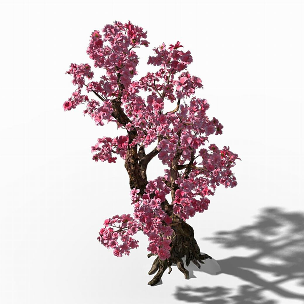 ArtStation - Taihu Lake coast - peach trees | Game Assets