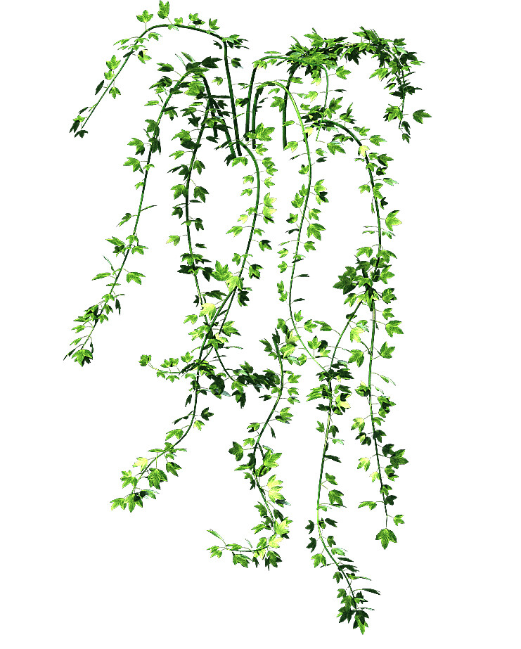 ArtStation - General plant - vines 35 | Game Assets