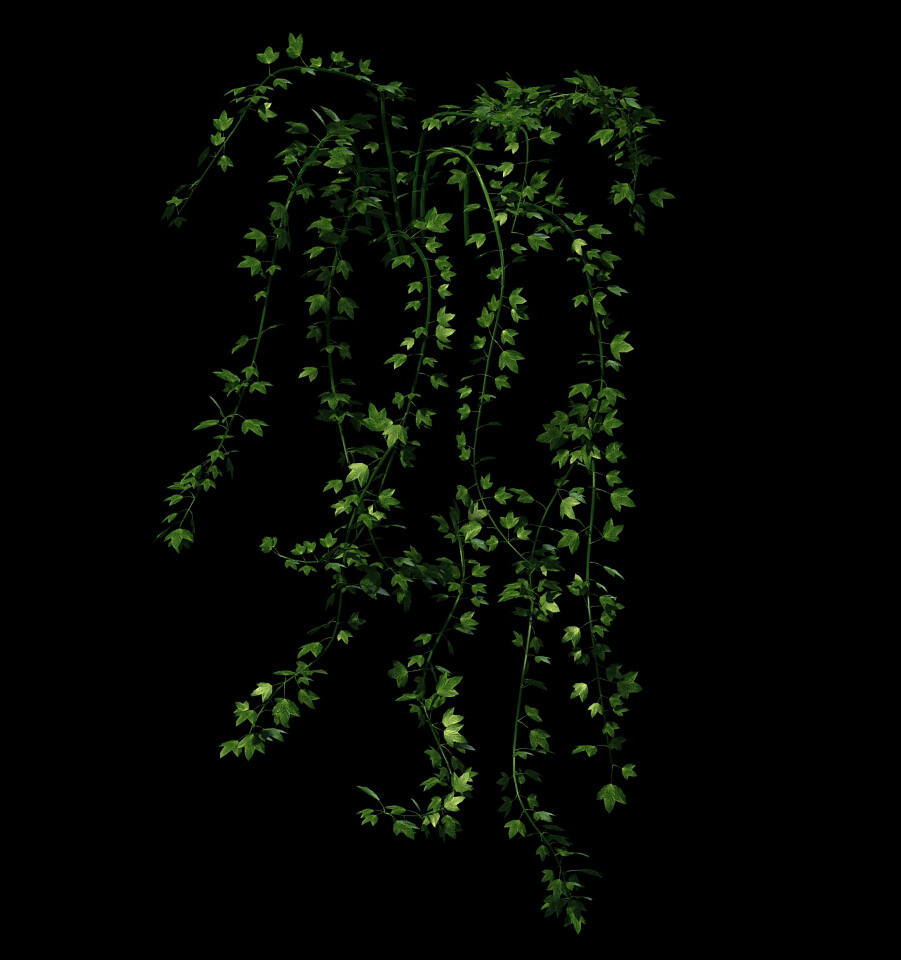 ArtStation - General plant - vines 35 | Game Assets