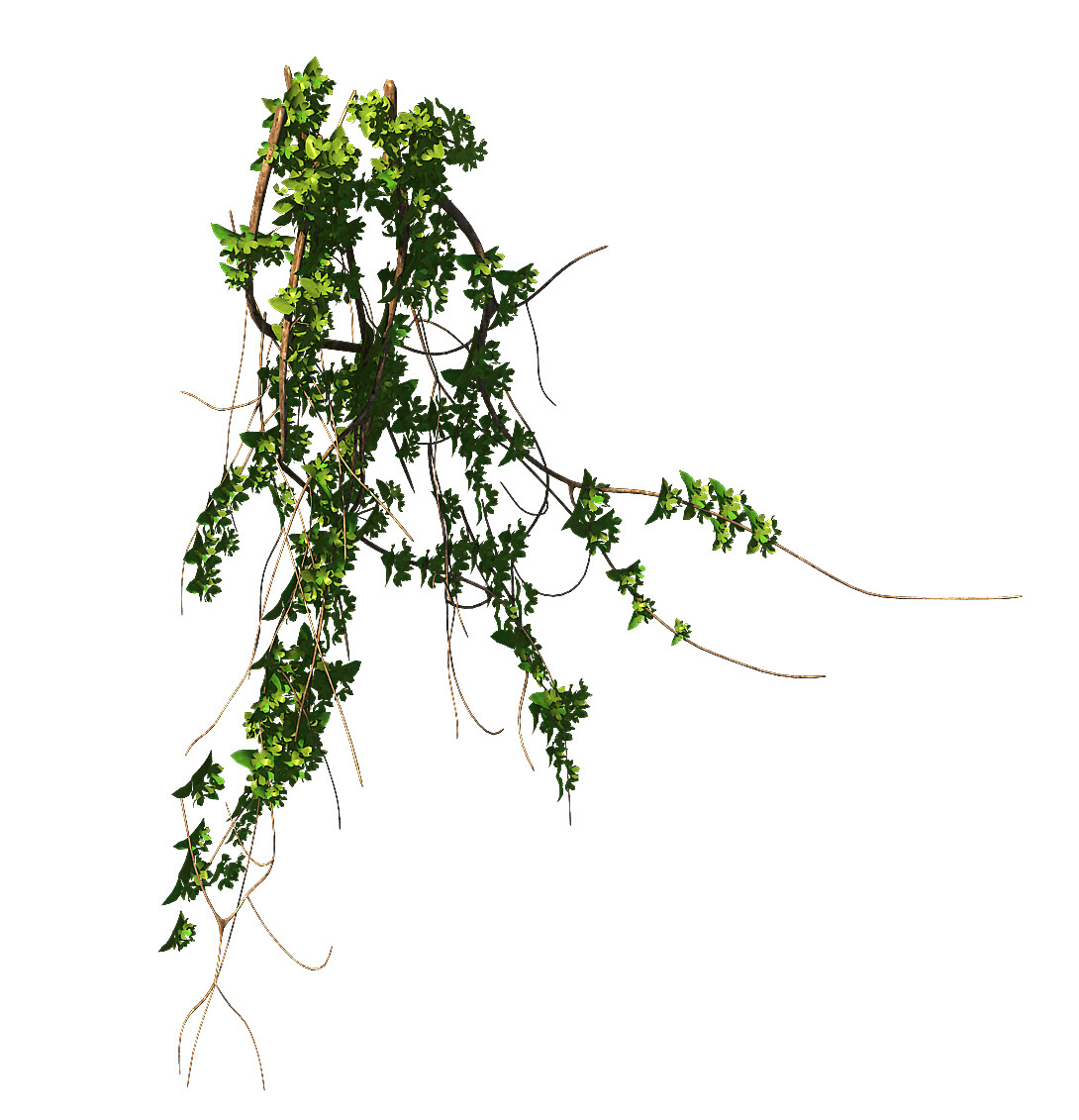 ArtStation - General plant - vines 02 | Game Assets