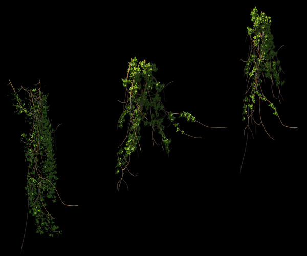 ArtStation - General plant - vines 02 | Game Assets