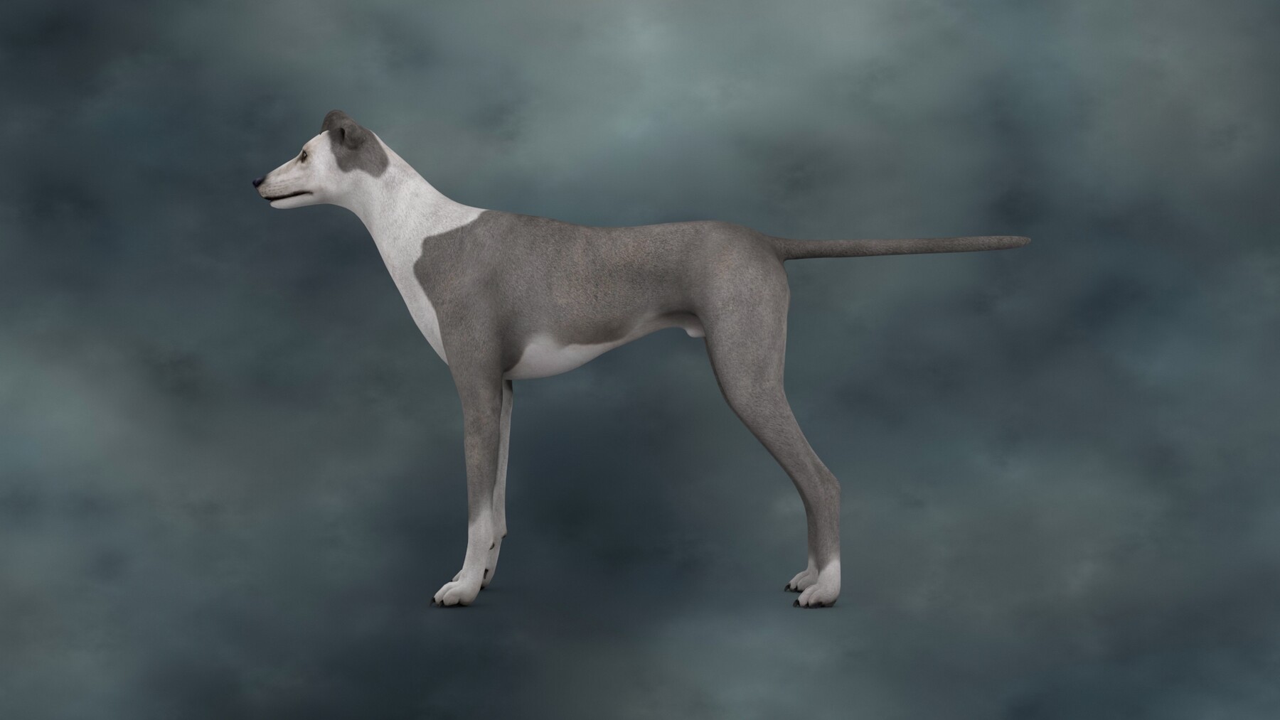 ArtStation - MDGH.005 Rigged Dog | Resources