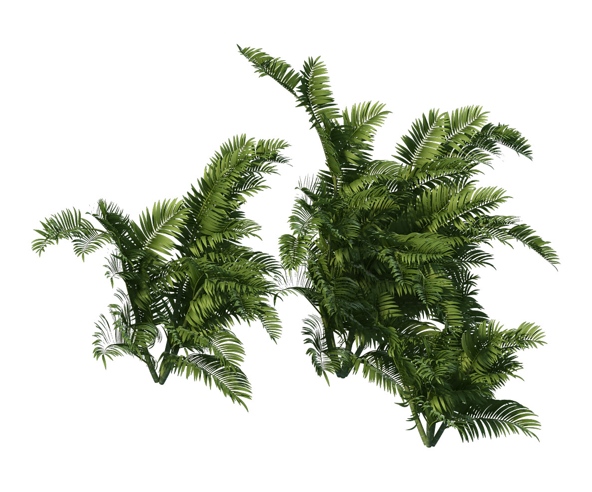 ArtStation - Plant - tropical tree | Game Assets