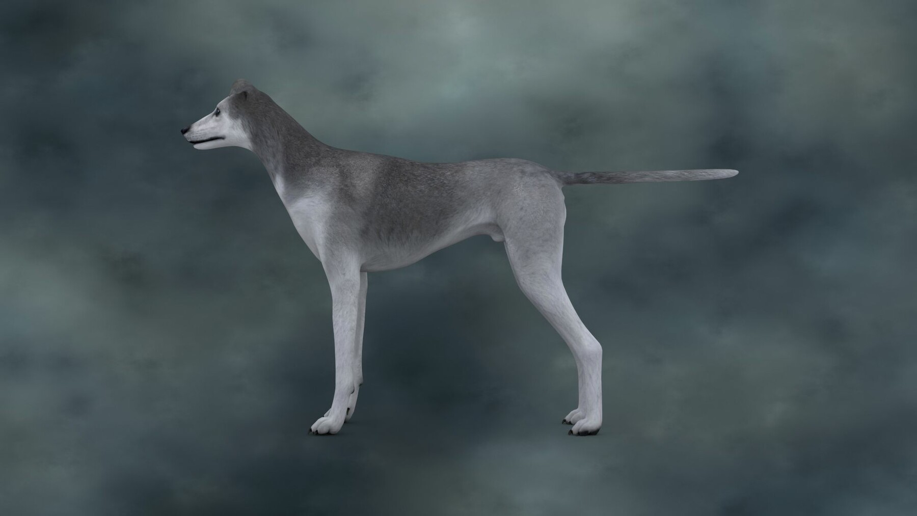 ArtStation - MDGH.012 Rigged Dog | Resources