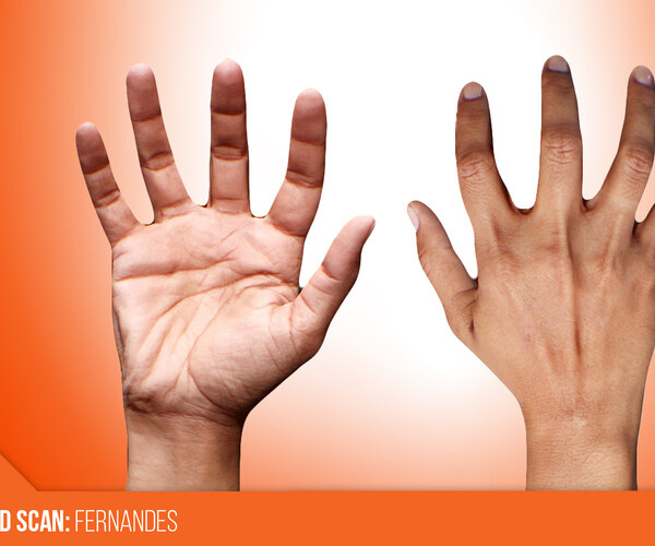 ArtStation - Retopologized 3D Hand scan of Fernandes | Indian female ...