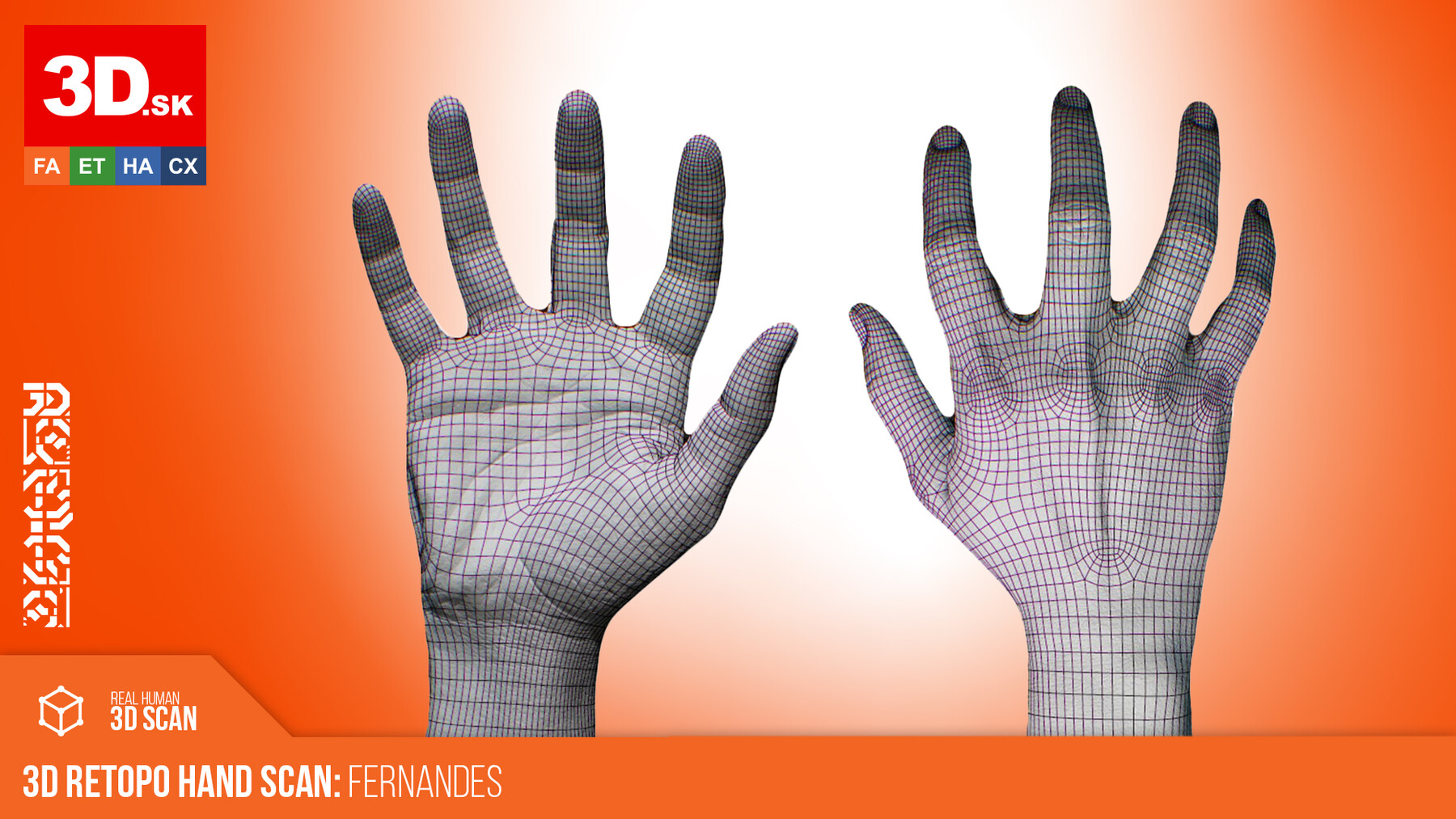 ArtStation - Retopologized 3D Hand scan of Fernandes | Indian female ...