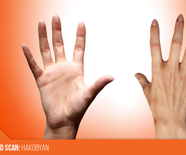 ArtStation - Retopologized 3D Hand scan of Hakobyan | Armenian female ...