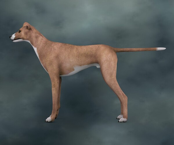 ArtStation - MDGH.015 Rigged Dog | Resources