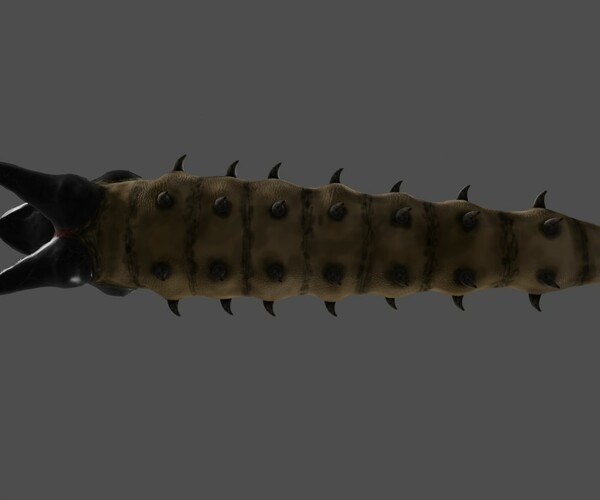 ArtStation - Giant Worm Monster - Verme Monstro Low-poly 3D model ...