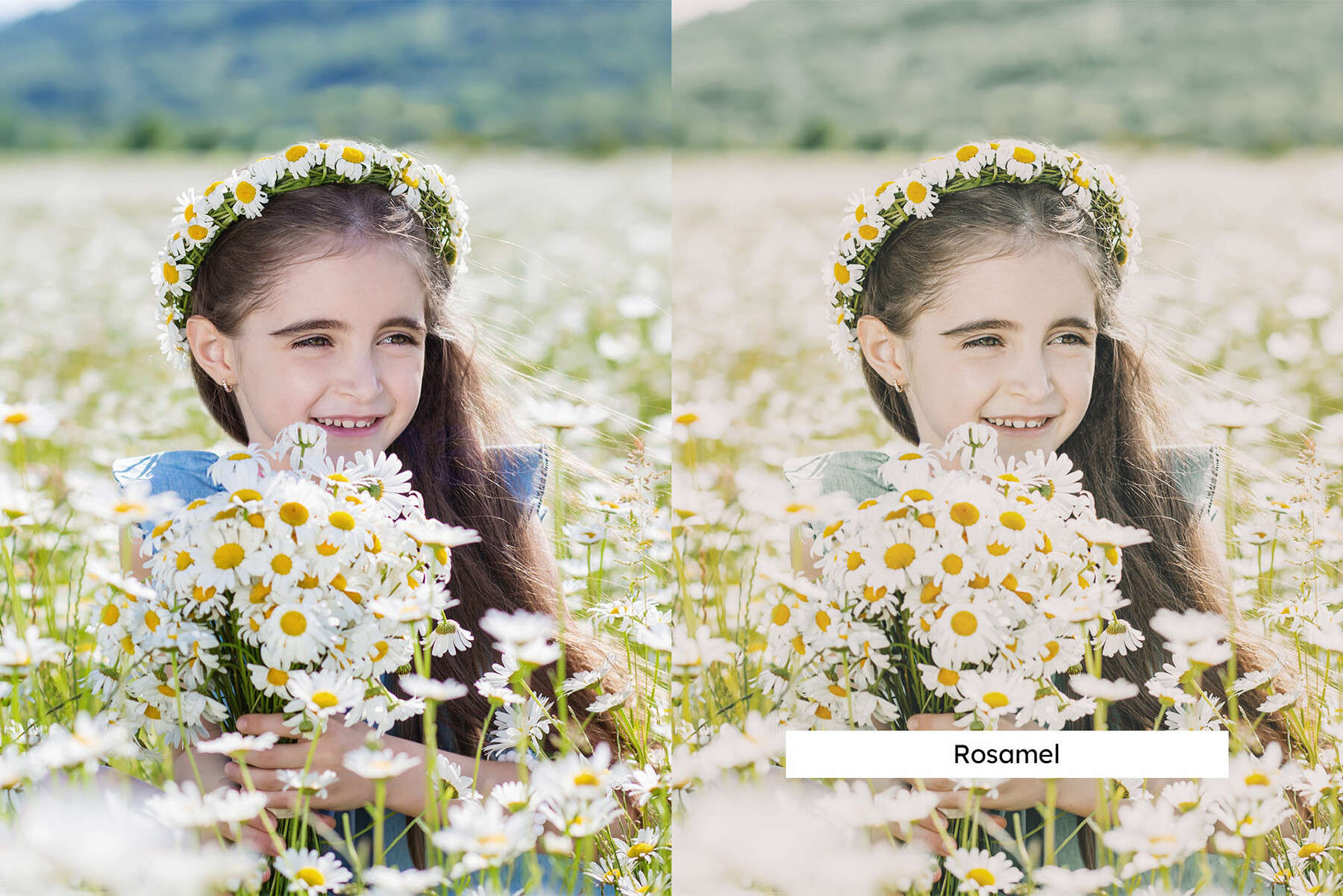 ArtStation - 20 Chamomile LUTs and Lightroom Presets | Resources