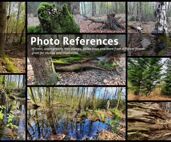 ArtStation - Nature Reference Pack 700+ Photos | Resources