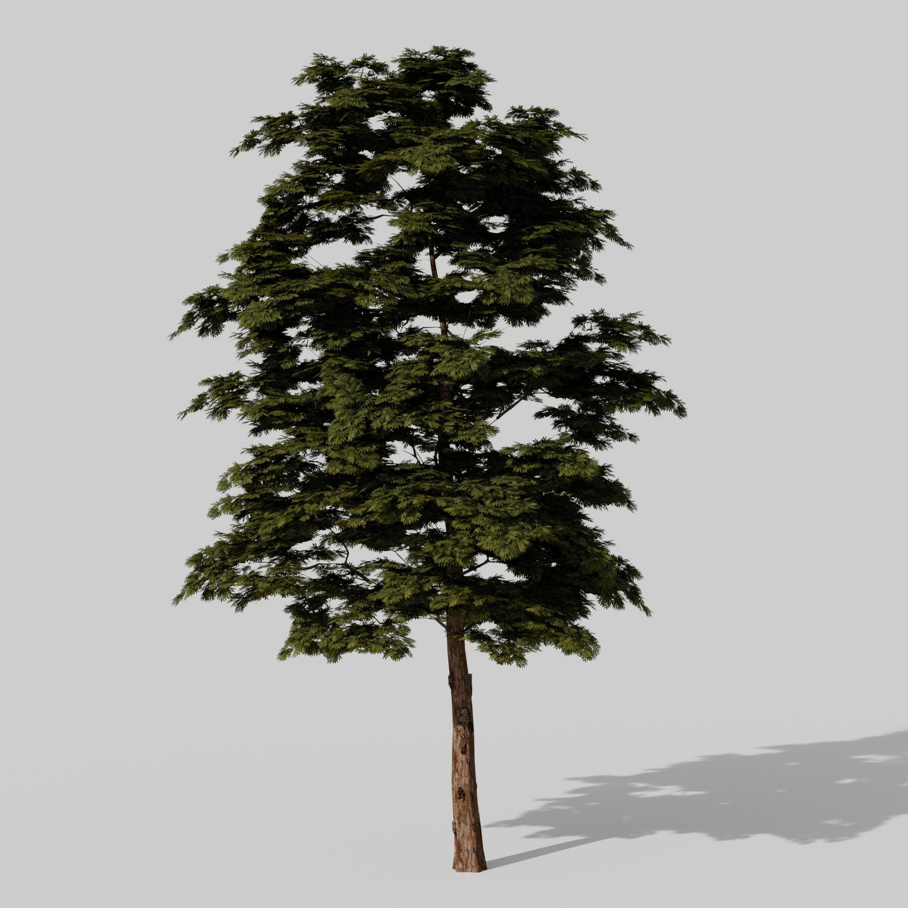 ArtStation - Large Trees Lowpoly Collection | Resources