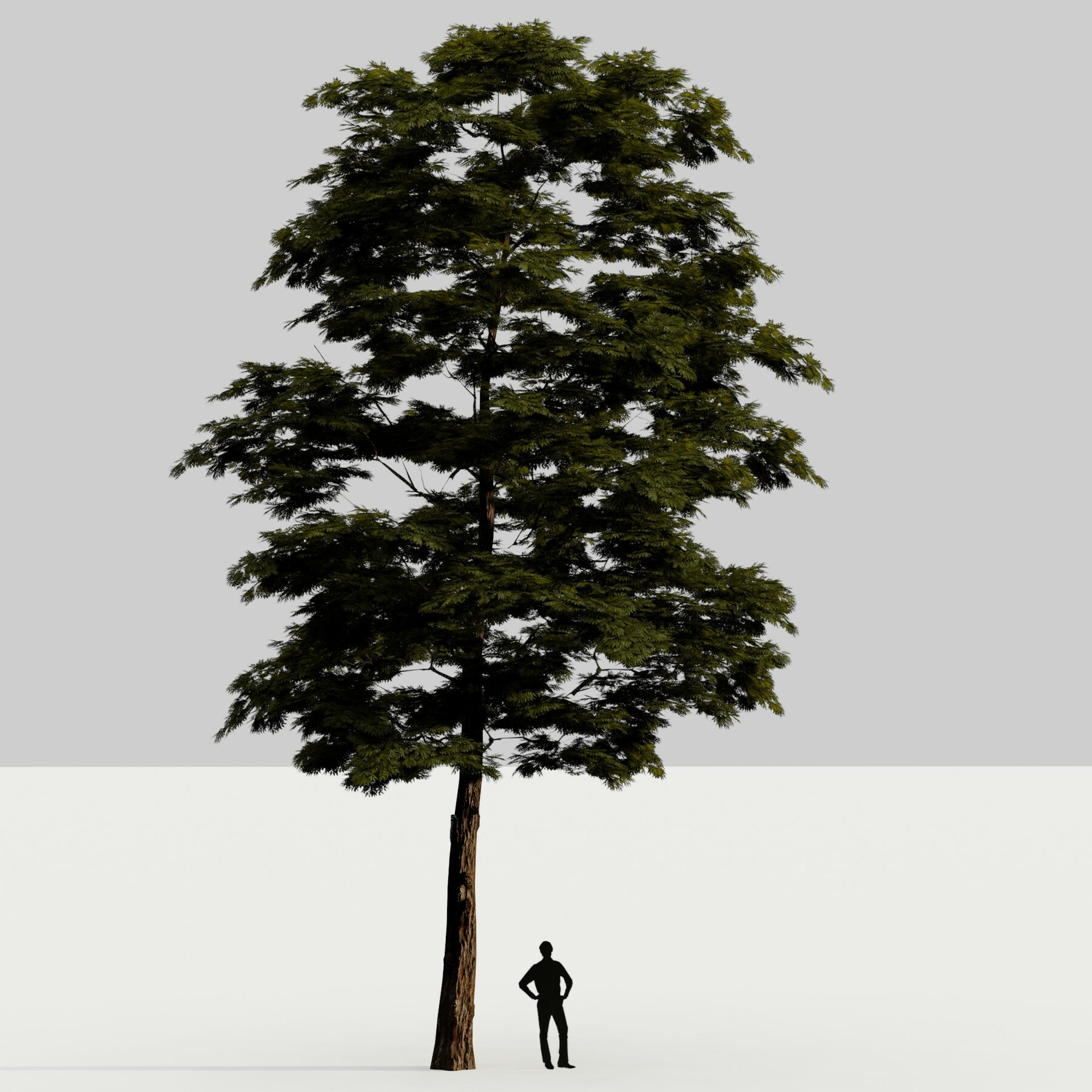 ArtStation - Large Trees Lowpoly Collection | Resources