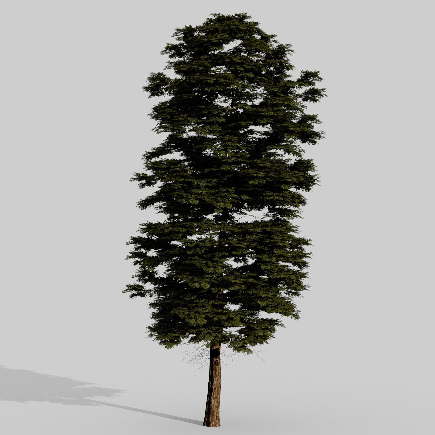 ArtStation - Large Trees Lowpoly Collection | Resources