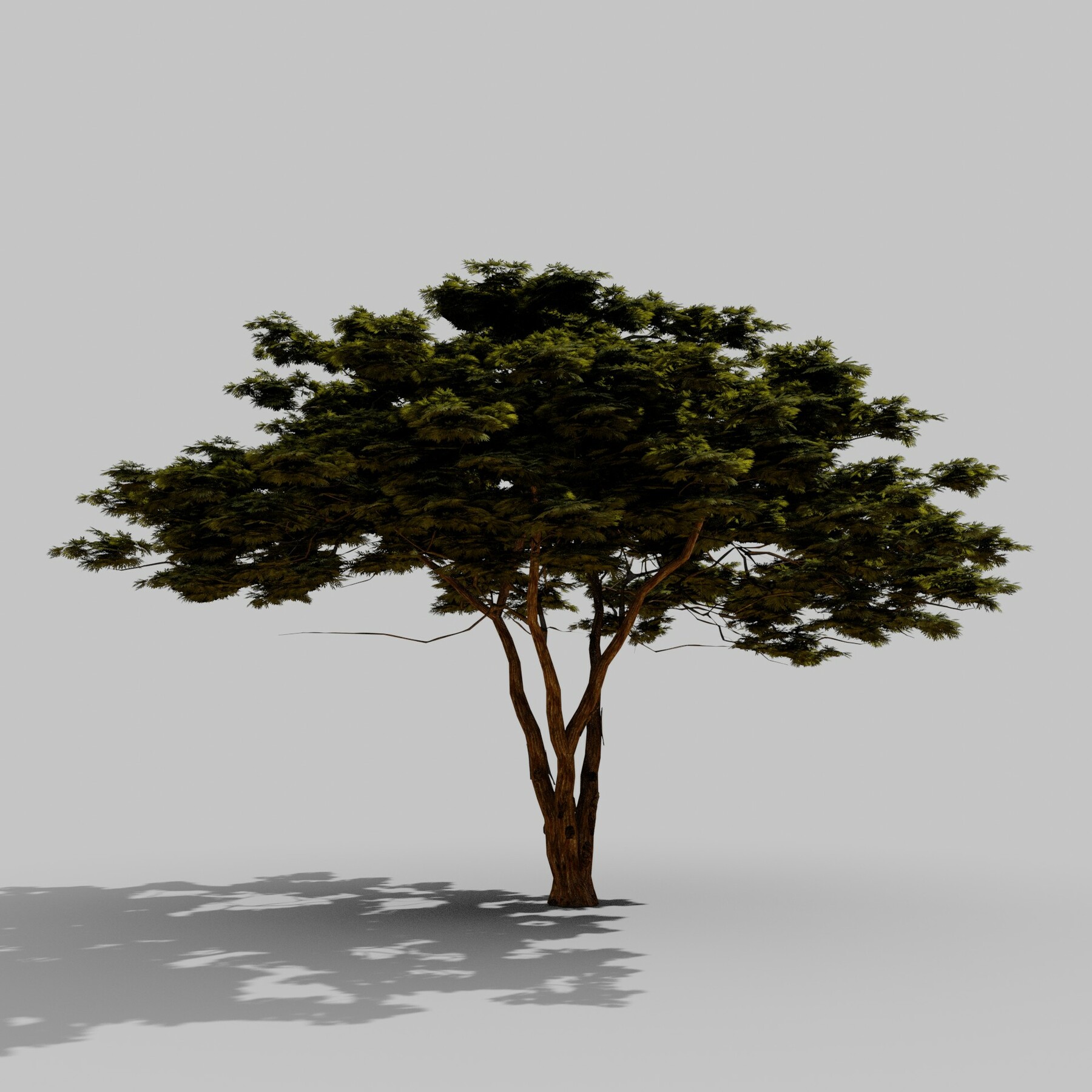 ArtStation - Large Trees Lowpoly Collection | Resources