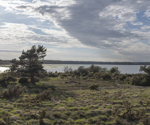 ArtStation - Coast Reference Photos | Resources