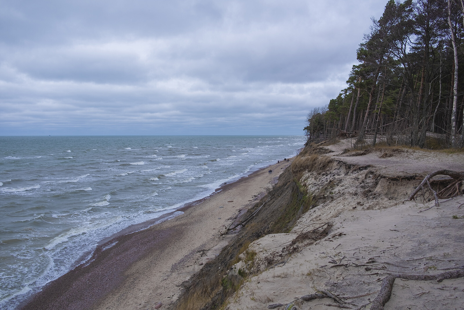 ArtStation - Coast Reference Photos | Resources