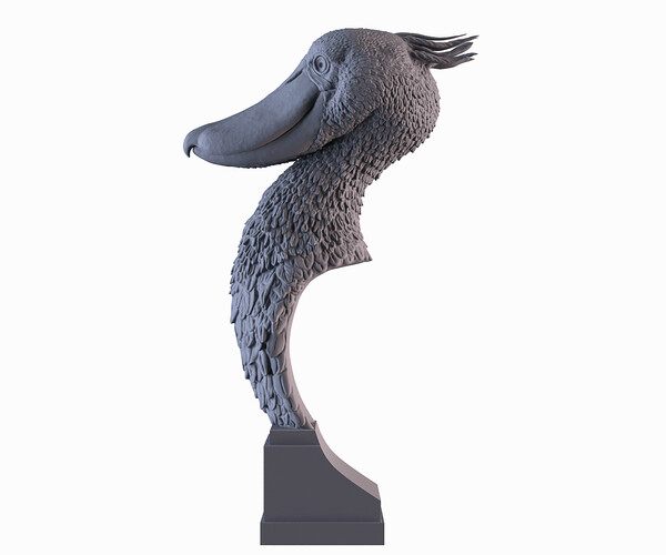 ArtStation - Shoebill | Resources