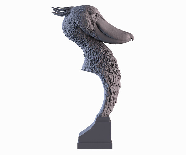 ArtStation - Shoebill | Resources