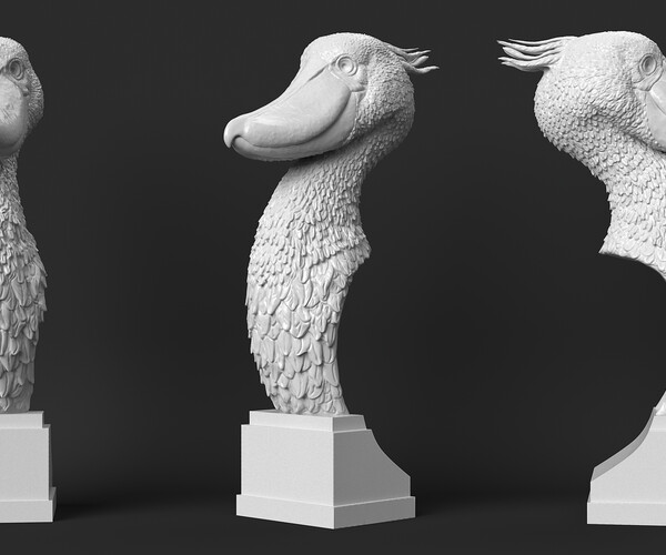 ArtStation - Shoebill | Resources