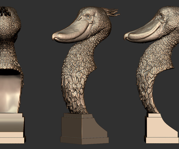 ArtStation - Shoebill | Resources