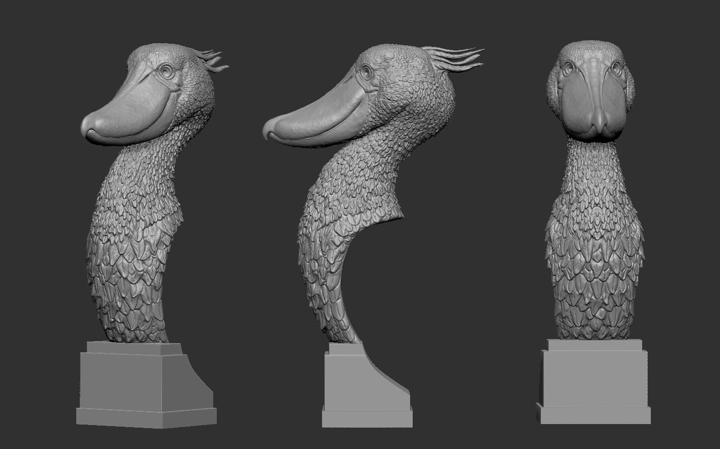 ArtStation - Shoebill | Resources