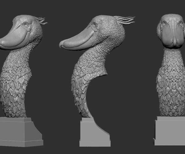 ArtStation - Shoebill | Resources