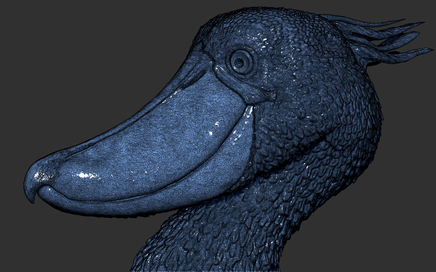 ArtStation - Shoebill | Resources