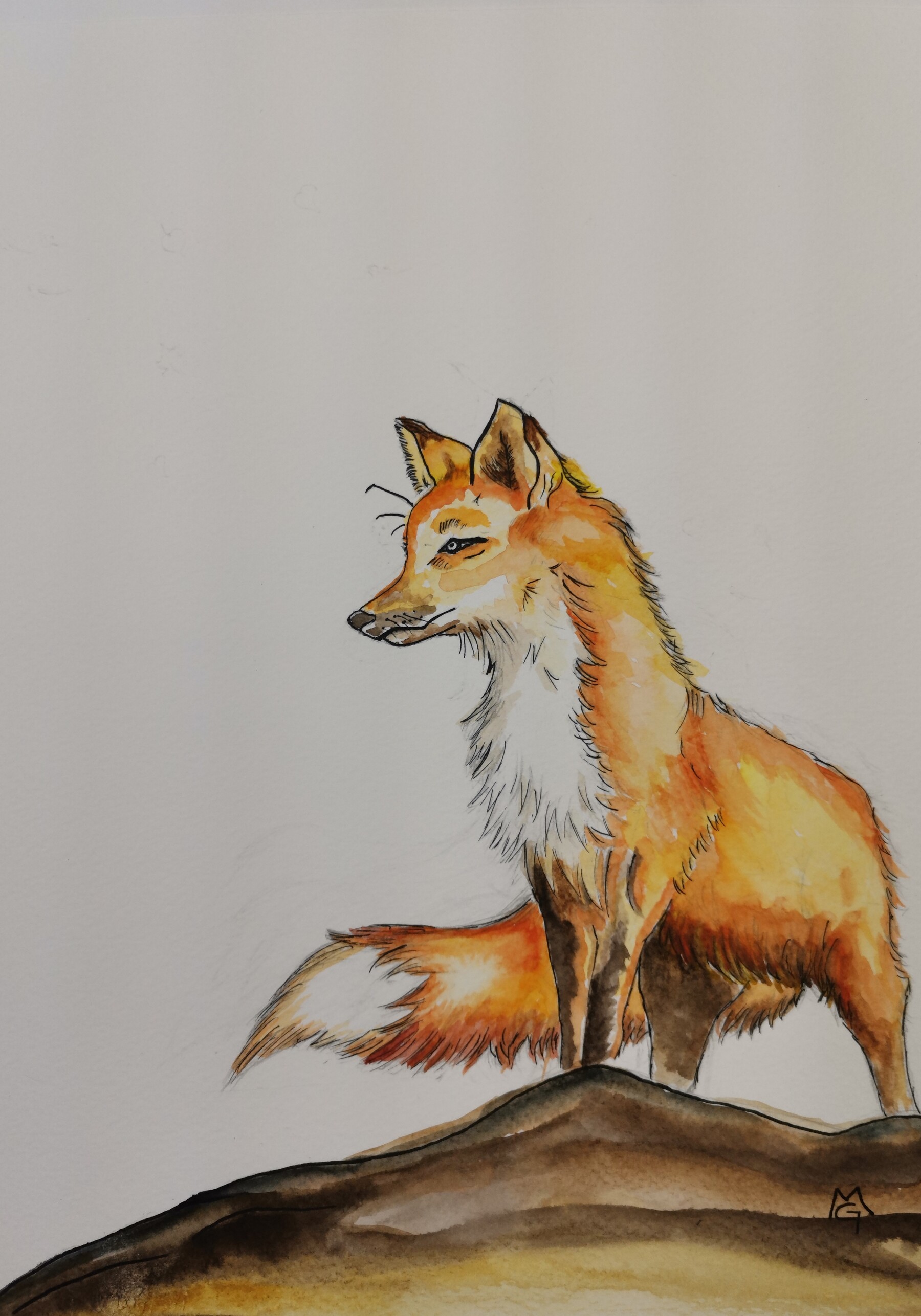 ArtStation - Fox watercolor painting digital version | Artworks