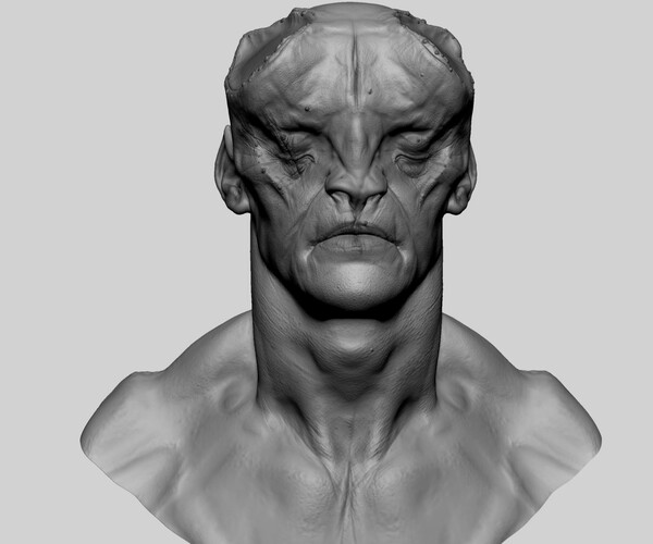 ArtStation - Creature Head 08 | Resources
