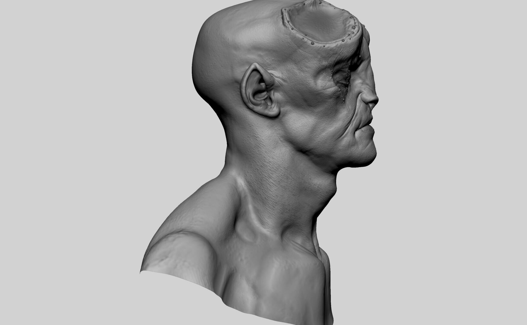 ArtStation - Creature Head 08 | Resources