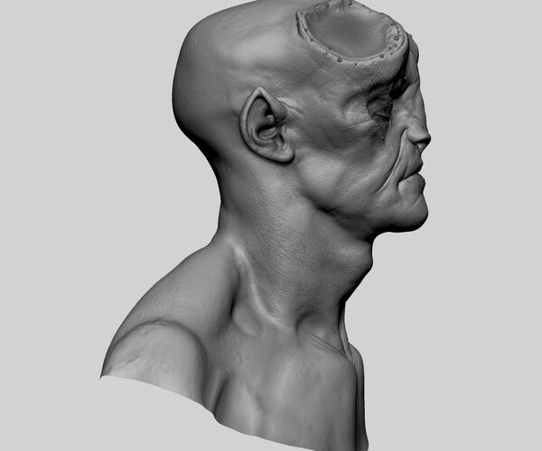 ArtStation - Creature Head 08 | Resources