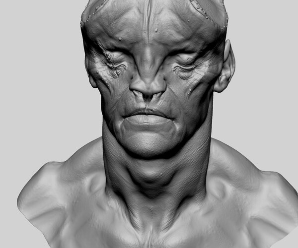 ArtStation - Creature Head 08 | Resources