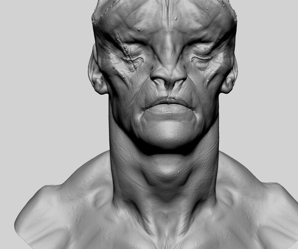 ArtStation - Creature Head 08 | Resources