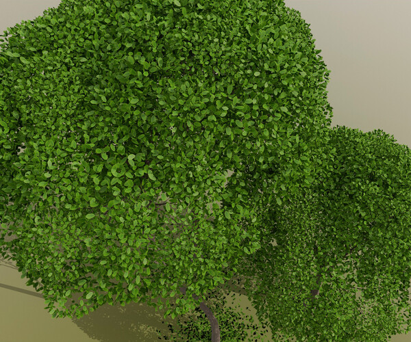ArtStation - Generic Tree Generator HDA | Resources