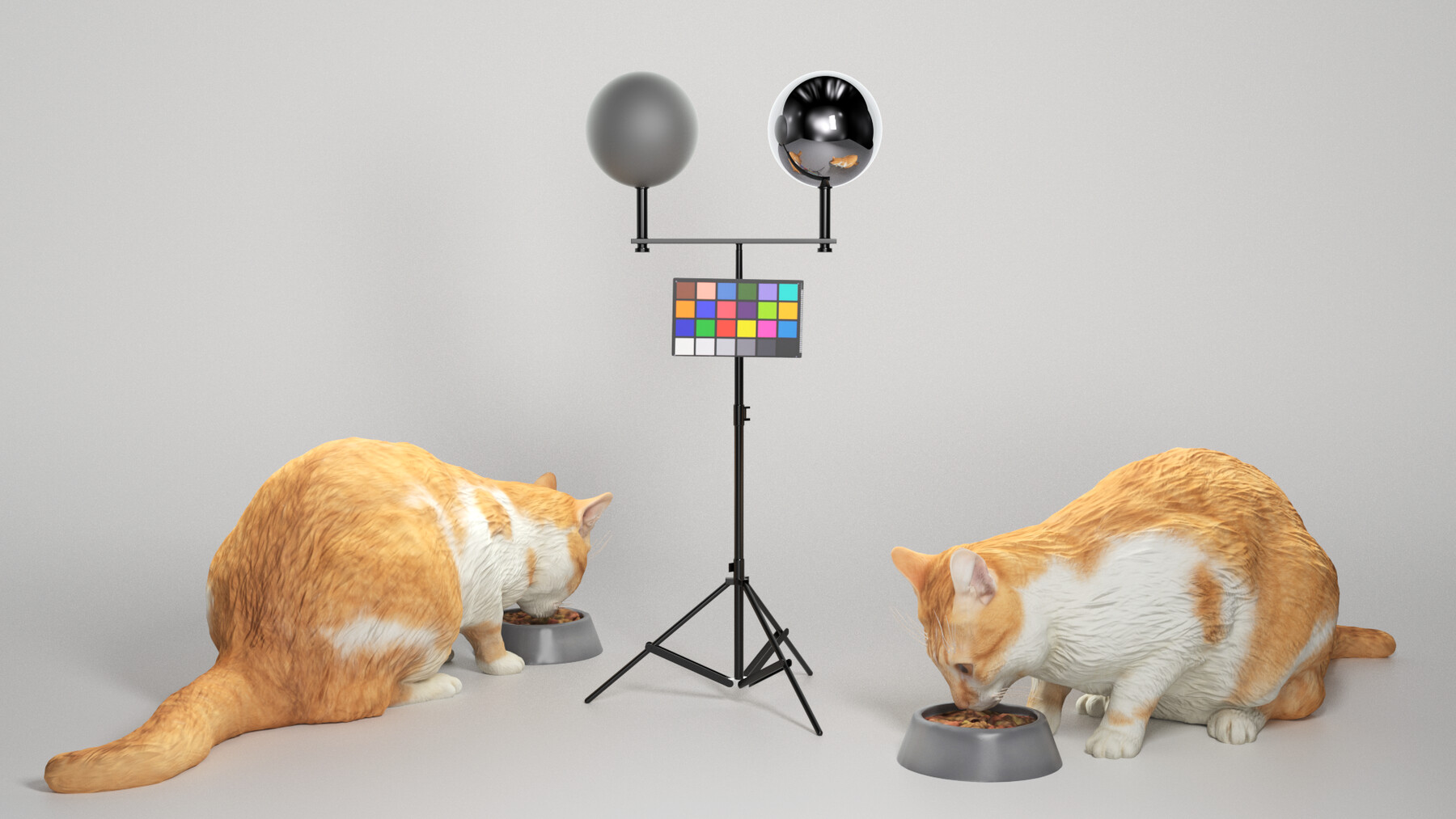 deep3dstudio - Cat eating food 12