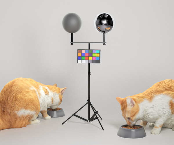 ArtStation - Cat eating food 12 | Game Assets