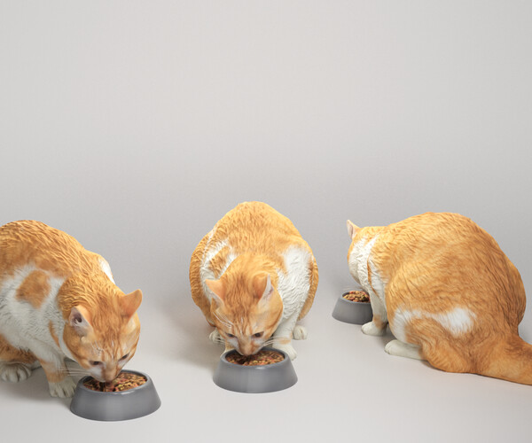 ArtStation - Cat eating food 12 | Game Assets