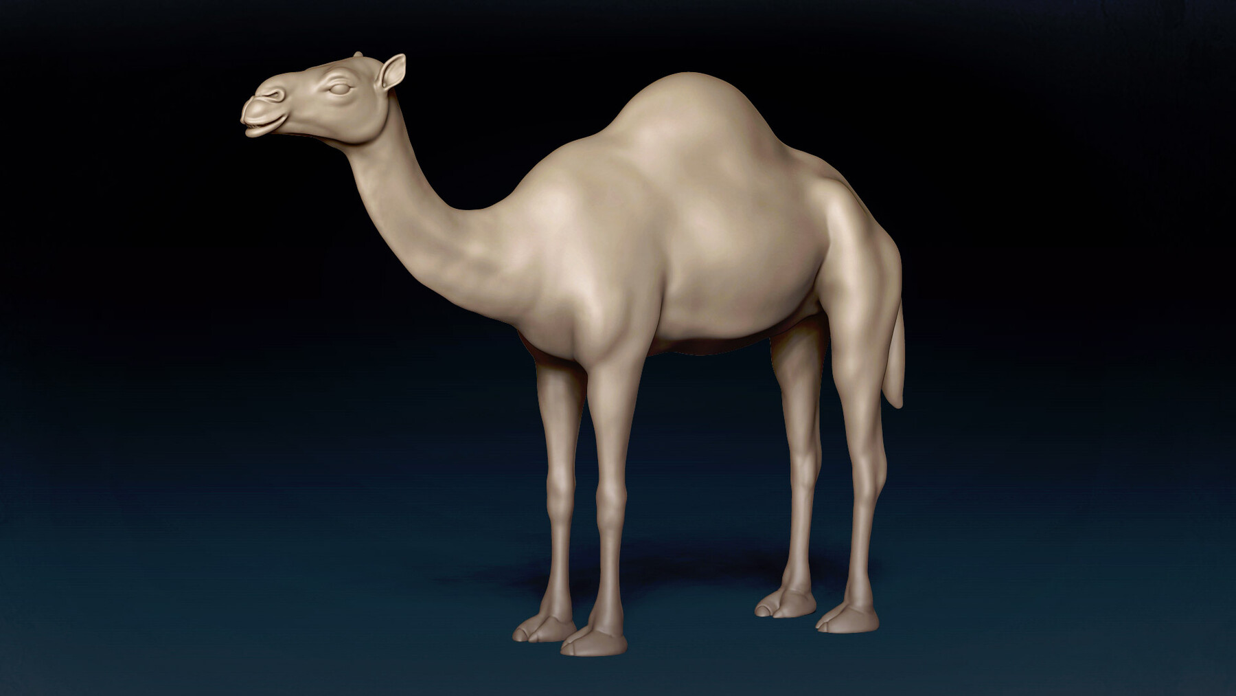 ArtStation - Camel Basemesh 3D model | Resources