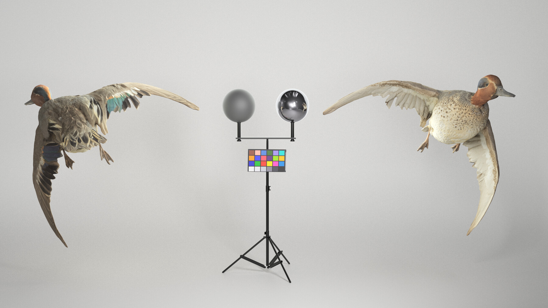 ArtStation - Flying duck 13 | Game Assets