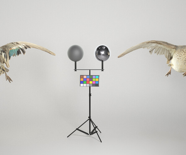 ArtStation - Flying duck 13 | Game Assets