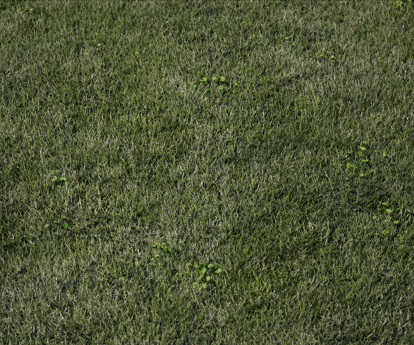 ArtStation - Lawn Grass (Unreal Engine 4 / UE4) | Game Assets