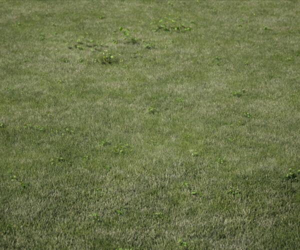 ArtStation - Lawn Grass (Unreal Engine 4 / UE4) | Game Assets