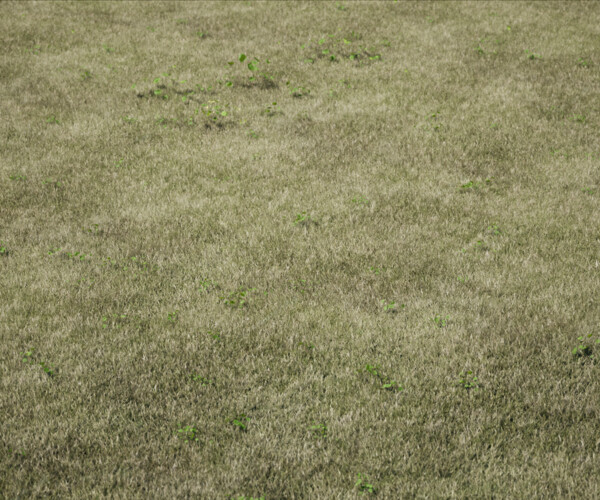ArtStation - Lawn Grass (Unreal Engine 4 / UE4) | Game Assets