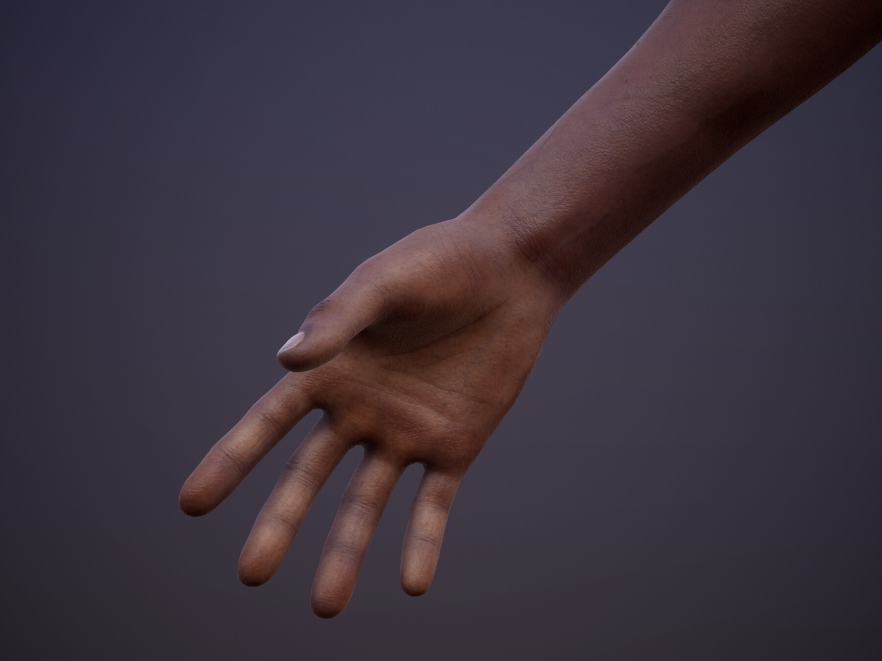 ArtStation - First Person Arms - Collection 1 | Game Assets