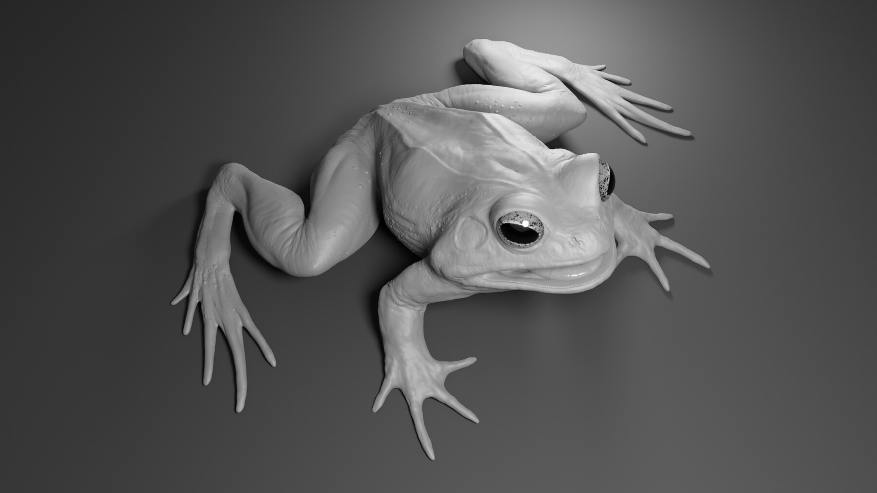ArtStation - Frog basemesh | Resources