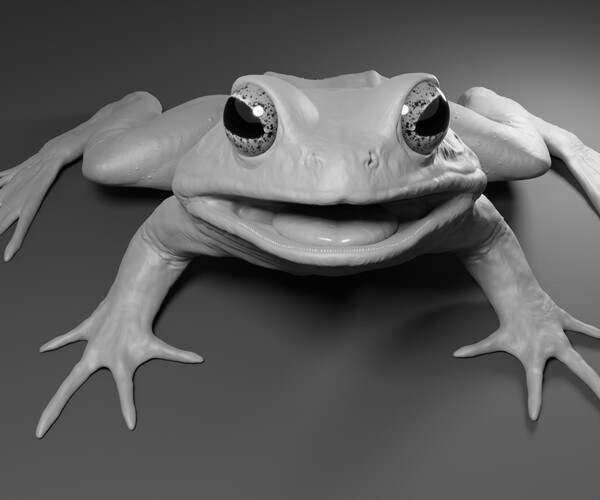 ArtStation - Frog basemesh | Resources